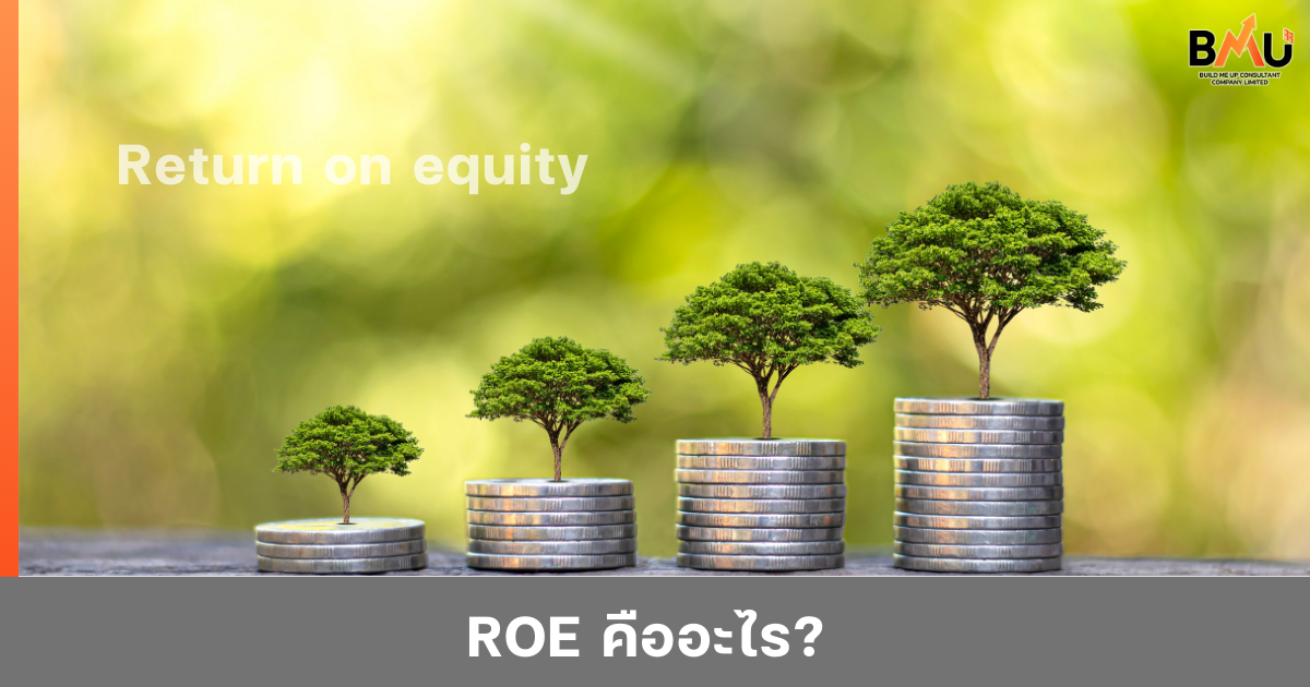 ROE คืออะไร? - BMU